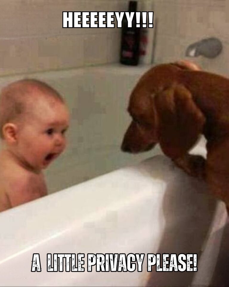 30 of the Most Ridiculously Funny Baby Memes on The Internet
