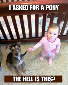 30 of the Most Ridiculously Funny Baby Memes on The Internet