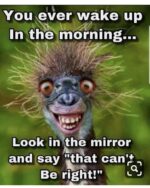 50 Funny Good Morning Memes From Smiles to LOLs